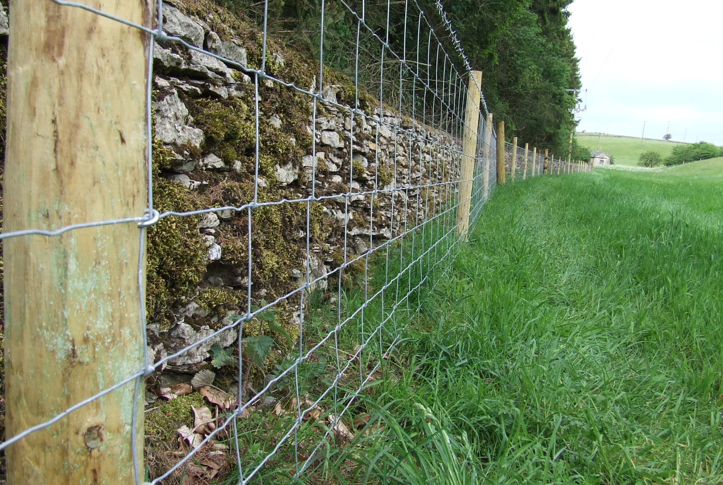 Orchard Fencing